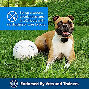 PetSafe Wireless Pet Fence Pet Containment System, Covers up to 1/2 Acre, for Dogs over 8 lb, Waterproof Receiver with Tone / Static Correction - From The Parent Company of INVISIBLE FENCE Brand