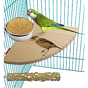 MotBach 3 Pieces Stainless Steel Bird Feeding Dish Cups, Bird Feeder Parrot Food Water Bowls with Clamp, Pet Cage Cups Holder for Bird Parrot Cockatiel Conure Budgies Parakeet Small Animal