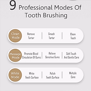 Sonic Electric Toothbrushes with Charging Case & Travel Case, LEBOND USB Inductive Rechargeable Electric Toothbrush with 3 Modes, Smart Timer and 2 Replacement Heads for Kids and Adults