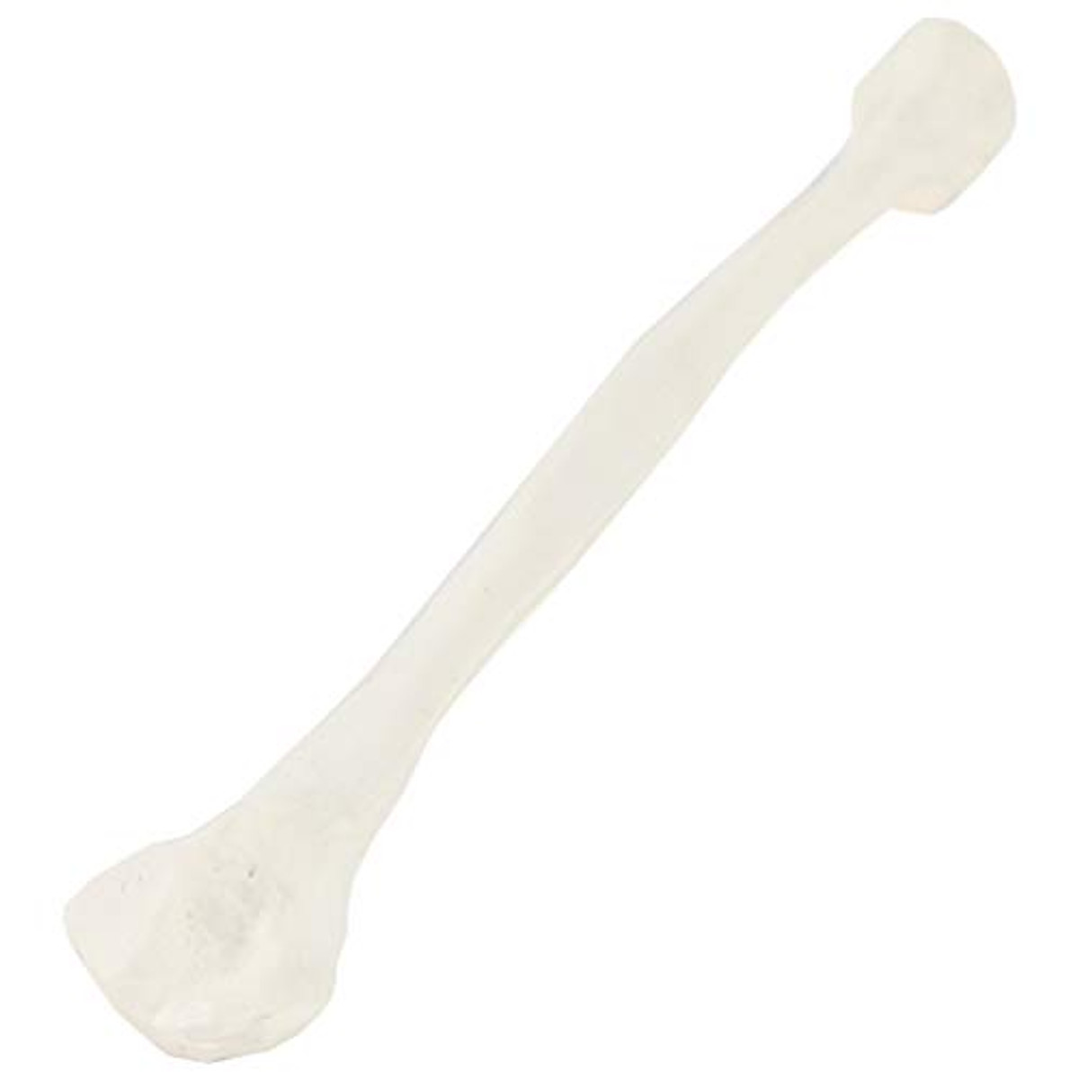 Axis Scientific Fibula Bone Model | Right | Cast from a Real Human Fibula Bone l Lower Leg Bone Model Has Realistic Texture and Important Bony Landmarks | Includes Product Manual