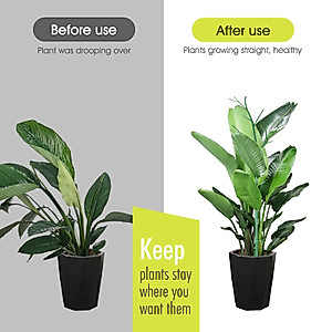 6 Pack Plant Support Stakes for Indoor Plants, 39.37 Inch Twig Plant Sticks with Orchid Clips Twist Ties and Plant Ties for House Potted Monstera Plants, Plastic Branches Support Structures, Green