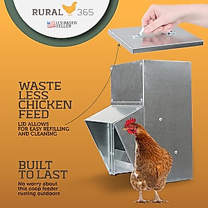 Rural365 50lb Capacity Galvanized Chicken Feeder Weatherproof Coop Dispenser