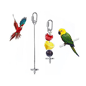 Nuatpetin Bird Food Holder, 2 PCS Stainless Steel Hanging Bird Feeders Bird Treat Skewer for Cage, Parrot Foraging Toy Feeder Toys Holder Fruit Veggies Feeding Stick for Parrot Cockatiel Macaw