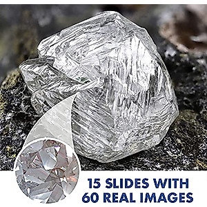 Educational Insights GeoSafari Jr. Kidscope, Kids Microscope, STEM Toy, Gift For Boys & Girls, Ages 5+