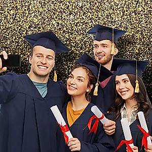 Black and Gold Photo Booth Backdrop - Perfect Party Decoration for Graduation, Birthday, Christmas, New Years Eve, Bachelorette, Weddings, Prom | Gatsby Photo Booth | Measures 6ft x 6ft