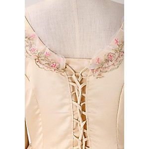 Women's Victorian Dress 18th Century Medieval Ball Gown Southern Belle Costume Renaissance Dresses for Masquerade Party