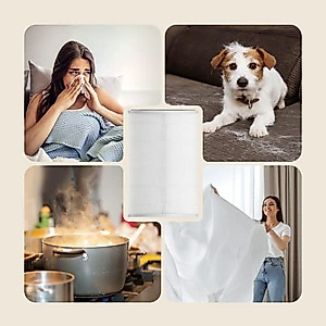 Welov P200S Air Purifiers for Home Large Room with An Extra H13 True HEPA Filter Bundle