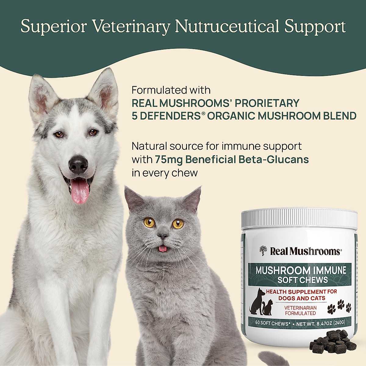 Mushroom Immune Support Pet Chews (60ct) Treats for Dogs – Immune Booster Supplements for Pets with Ashwagandha, Astragalus, Blueberry, Olive Leaf, Acerola &Gut Health for Dogs and Cats