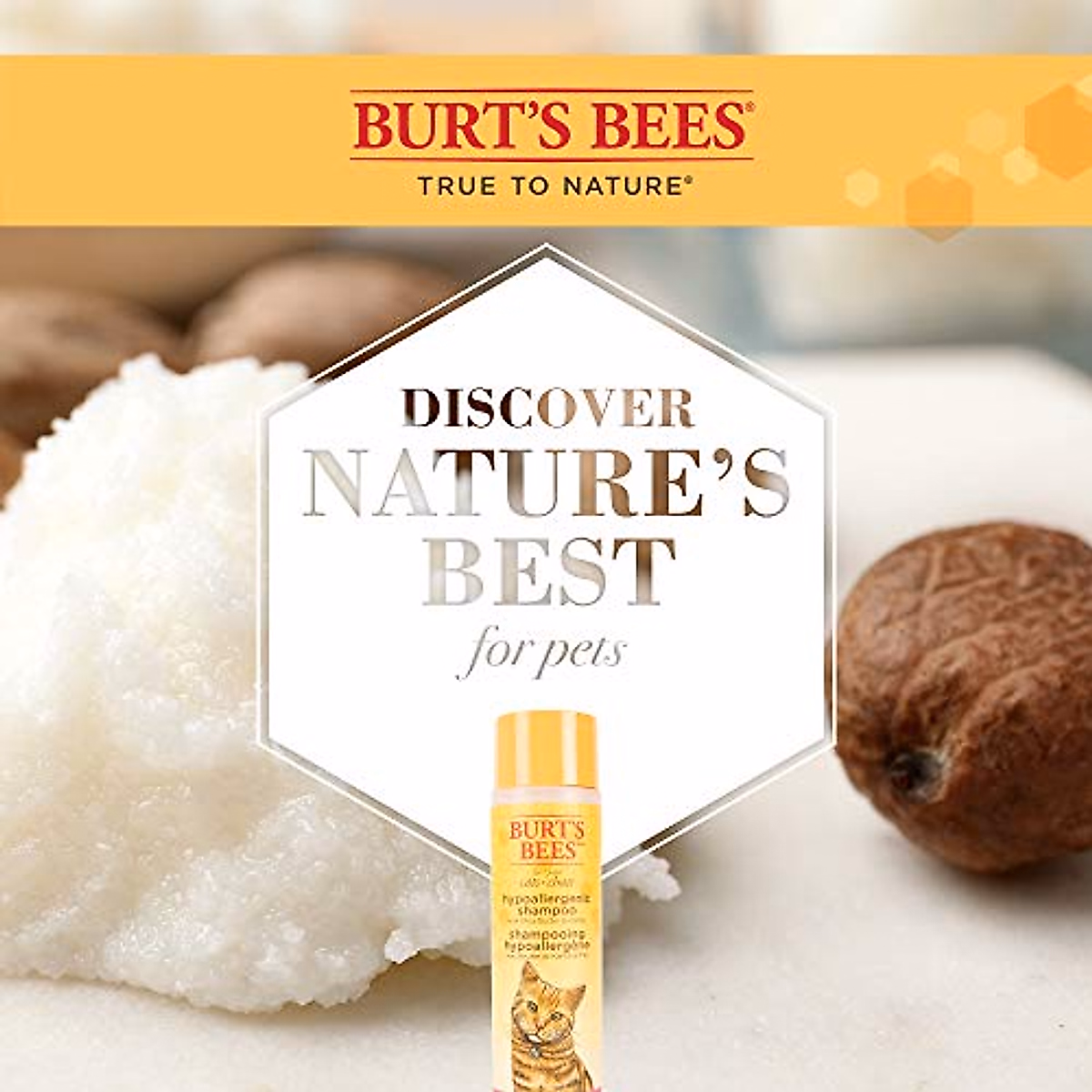 Burt's Bees for Cats Hypoallergenic Shampoo With Shea Butter & Honey | Moisturizing & Nourishing Cat Shampoo | Cruelty Free, Sulfate & Paraben Free, pH Balanced for Cats - Made in USA, 10 Oz - 2 Pack