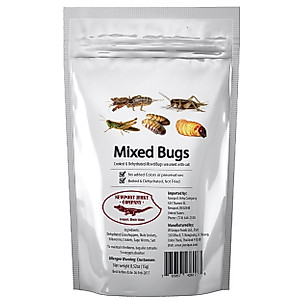 Newport Jerky Company Edible Insects | Bag of Mixed Edible Bugs | Edible Grasshoppers | Edible Crickets | Silk Worms and Sago Worms | Edible Bug Gift Sampler Pack for Humans