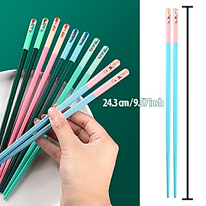 Chopsticks-Reusable Chopsticks Dishwasher Safe, 9.63 inch/24.3cm Matte Non-Slip Fiberglass Chop Sticks, Chinese/Japanese Korean Chop Sticks, 5 Pairs