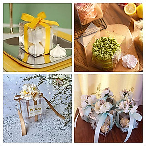 Bakbania 30 Pieces Candy Apple Boxes with Hole Top PET Clear Gift Boxes 4" x 4" x 4" Clear Favor Boxes for Caramel Apples,Ornaments, Treats, Party Favors