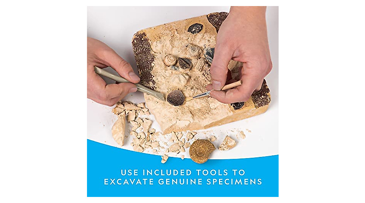Mega Fossil Dig Kit by National Geographic - STEM Educational Toy for Kids