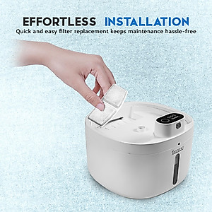 Replacement Filter for Tossca Pet Water Fountain | Advanced Filtration Pack of 6 Filters and 2 Sponges