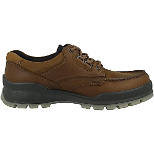 ECCO Men's Track 25 Low Gore-tex Waterproof Hiking Shoe, Bison/Bison Oil Nubuck, 11-11.5