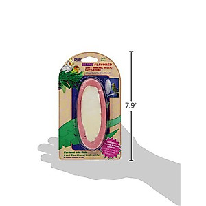Penn-Plax 2-in-1 Mineral Block and Cuttlebone, Berry Flavored, 5-Inch
