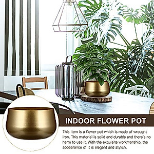 Happyyami All Golden Tool Modern Living Pot Decorative Room Simple Desktop Plan Patio Home Iron Decor Bonsai Wedding Garden Gardening Hole Cactus House Table Flower Metal Flowers Plant