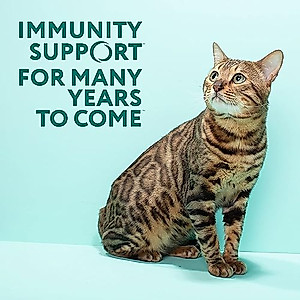 OPtimeal Grain Free Cat Food - Proudly Ukrainian - Healthy Cat Food Dry Recipe for Gut Health, Tasty Dry Cat Food with Immunity Support for Adult Cats (3.3 lbs, Turkey & Veggies)
