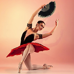 2 Pieces Feather Hand Fan Embroidered Flower Marabou Feather Fan 1920s Feather Fan Hand Fan Folding Hand Fan Drag Queen Fan for 20s Women Costume Party Dancing Photoshoot Wedding Decor (Black)