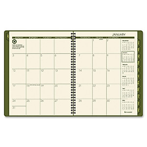 AT-A-GLANCE Recycled Weekly/Monthly Appointment Book, 8 x 11 Inches, Green, 2012 (70-950G-60)