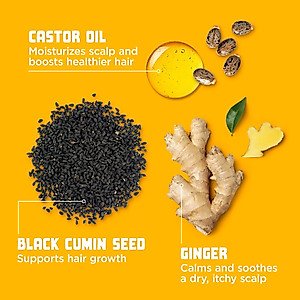 Carol's Daughter Goddess Strength Fortifying Shampoo For Wavy, Coily and Curly Hair, Sulfate Free Shampoo with Castor Oil for Weak Hair, 11 Fl Oz