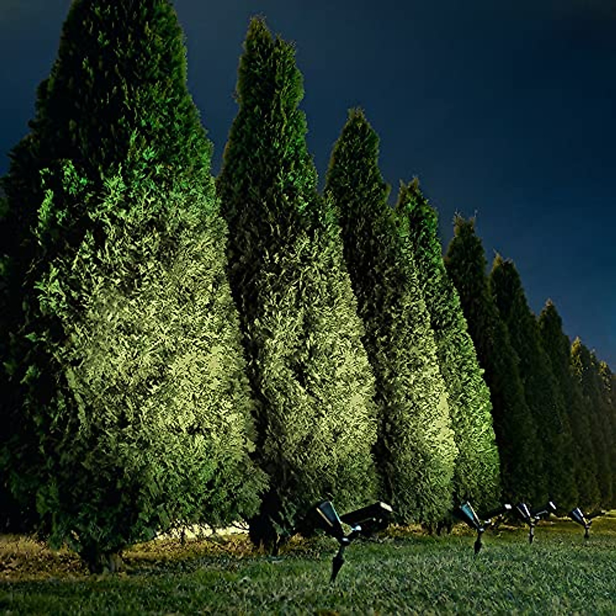 SOLVAO Solar Spotlight (Updated) - Ultra Bright, Waterproof, Outdoor LED Spot Light with Auto On/Off - Best Sun Powered, Rechargeable Uplight for Lighting Your Landscape, Yard & Garden (Warm White)