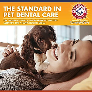 Arm & Hammer Complete Care Dog Dental Spray, 6 Fl Oz | Mint Flavor Dog Dental Spray for Easy Brushless Cleaning | Baking Soda Enhanced Formula for Fresh Breath and Tartar Control