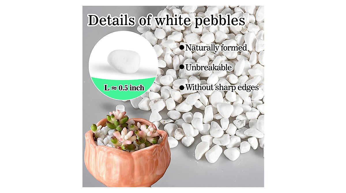 AHSNYLC White Succulent Pebbles - Ideal for Gardens & Tanks