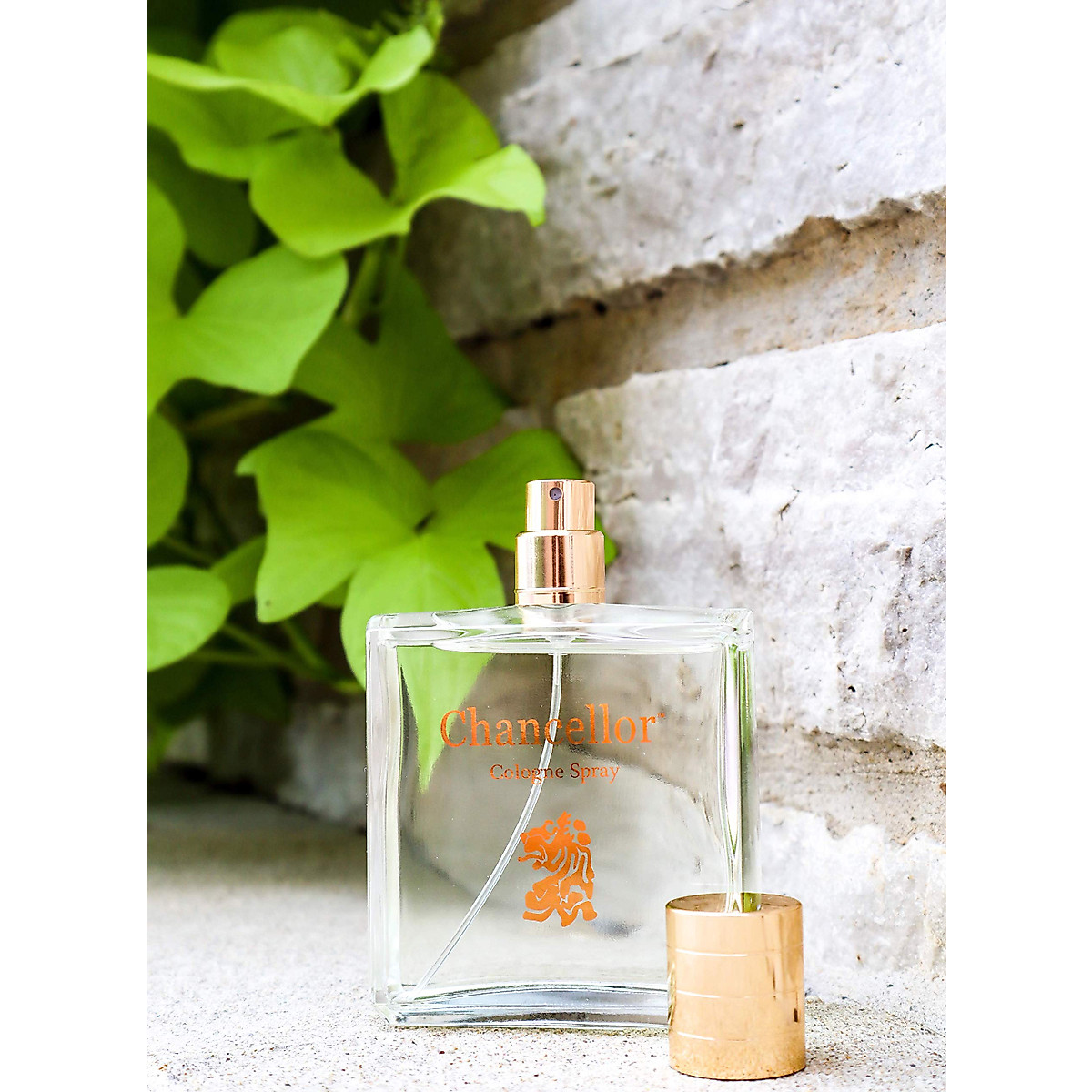 Chancellor Cologne by Romane and Tru Fragrance - Eau de Cologne - Bold and Spicy Masculine Scent - Mandarin, Fern, Lavender, Sandalwood - 3.4 oz 100 ml