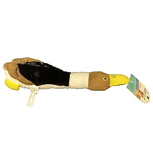 Pettrends Plush Squeaky Toy for Dogs - Mallard Duck ~ Fun Toy to Chase, Catch and Chew ~ Approx. 14" Long