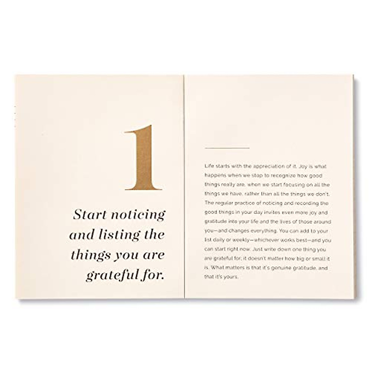 A Year of Gratitude Card Kit by Compendium - A Gratitude Note Card Kit to Inspire 52 Weeks of Giving Thanks