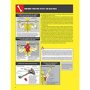Strength Training Anatomy