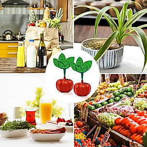 4 Pack Fruit Fly Trap, Fly Traps for Indoor/Home, Reusable Fungus Gnat Trap Killer Catcher, Fly Traps for Bugs/Mosquitoes/Gnats, 2 Bait + 16 Sticky Pads