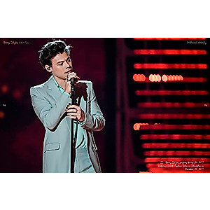 Harry Styles: Adore You: The Illustrated Biography