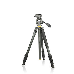 Vanguard Alta Pro 2 264AO Aluminum Tripod with Alta PH-31 Pan Head