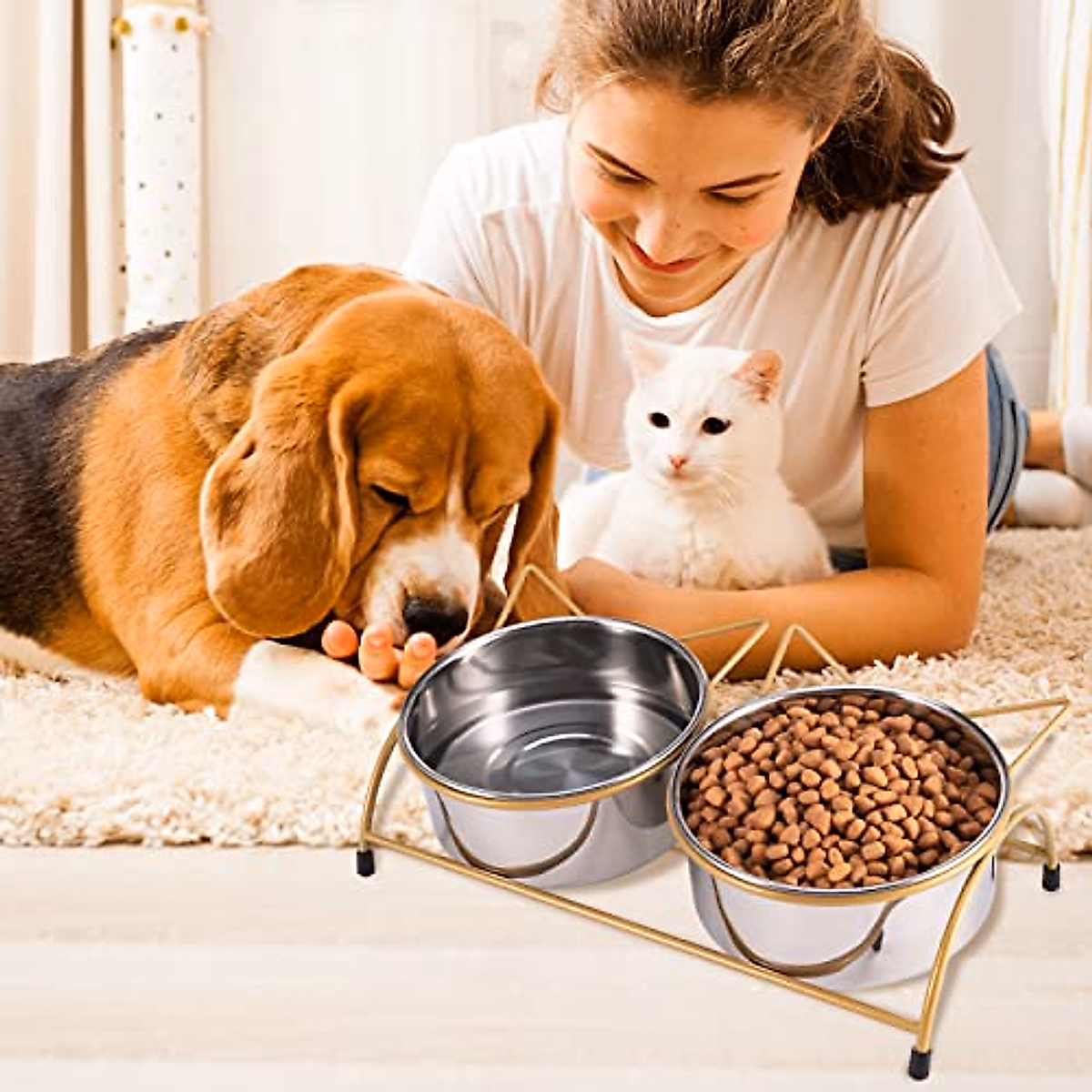 Trosetry Raised Cat Bowls, Double Stainless Steel Cat Food Bowls Non-Slip Elevated Pet Feeder with 15°Tilted Neck Protective Bowl for Puppy Cats and Small Dogs Food and Water Feeding