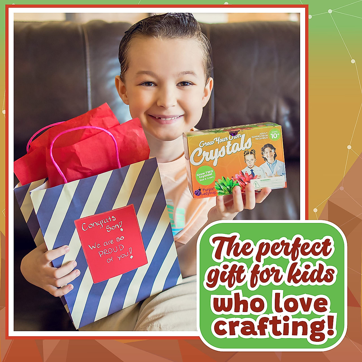 PURPLE LADYBUG Crystal Growing Kit for Kids for 10 Year Old Boys & Science Kits for Kids Age 12-14 - Fun STEM Projects for Kids & Science Experiments Educational Activity Kits for Teens