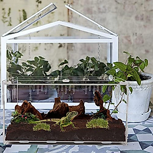 winemana Reptile Terrarium, Tarantula Enclosure, 16" x 11" x 6" Acrylic Large Feeding Tarantula Habitat Box for Small Animals Insect Home Office