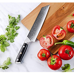 Damascus Chef Knife 8 Inch, Razor Sharp Kitchen Knife Japanese VG-10 Stainless Steel with Premium G10 Handle&Triple Rivet&Gift Box（8 Inches）