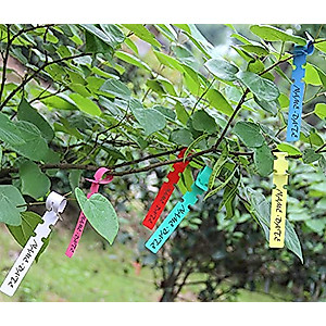 PUELDU Grafting Tool, Pruner Kit, Including Replacement Blades,Grafting Knife,Grafting Tapes,Plant Labels&Garden Clips,Perfect for Fruit Tree Grafting