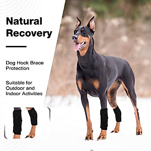 ROZKITCH Dog Leg Protector for Rear Hock Joint or Front Leg Brace, 1 Pair of Dog Leg Compression Wrap Sleeve for Anti Licking Carpal Support Ankle Support Protect Injury Sprain Torn ACL CCL Black L
