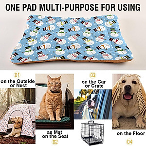 Coikll Cute Christmas Snowman Pet Bed Pad Soft Dog Bed Mat with Anti-Slip Bottom, Machine Washable Crate Pad Mattress for Dog Sleeping- 24 * 18inches