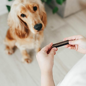 Zesty Paws OraStix for Dogs - Aller-Immune Sticks with Hemp Seed Turmeric EpiCor Pets Fish Oil Supports Immune Function Seasonal Allergies Skin Health Healthy Teeth Gum Blend 25oz