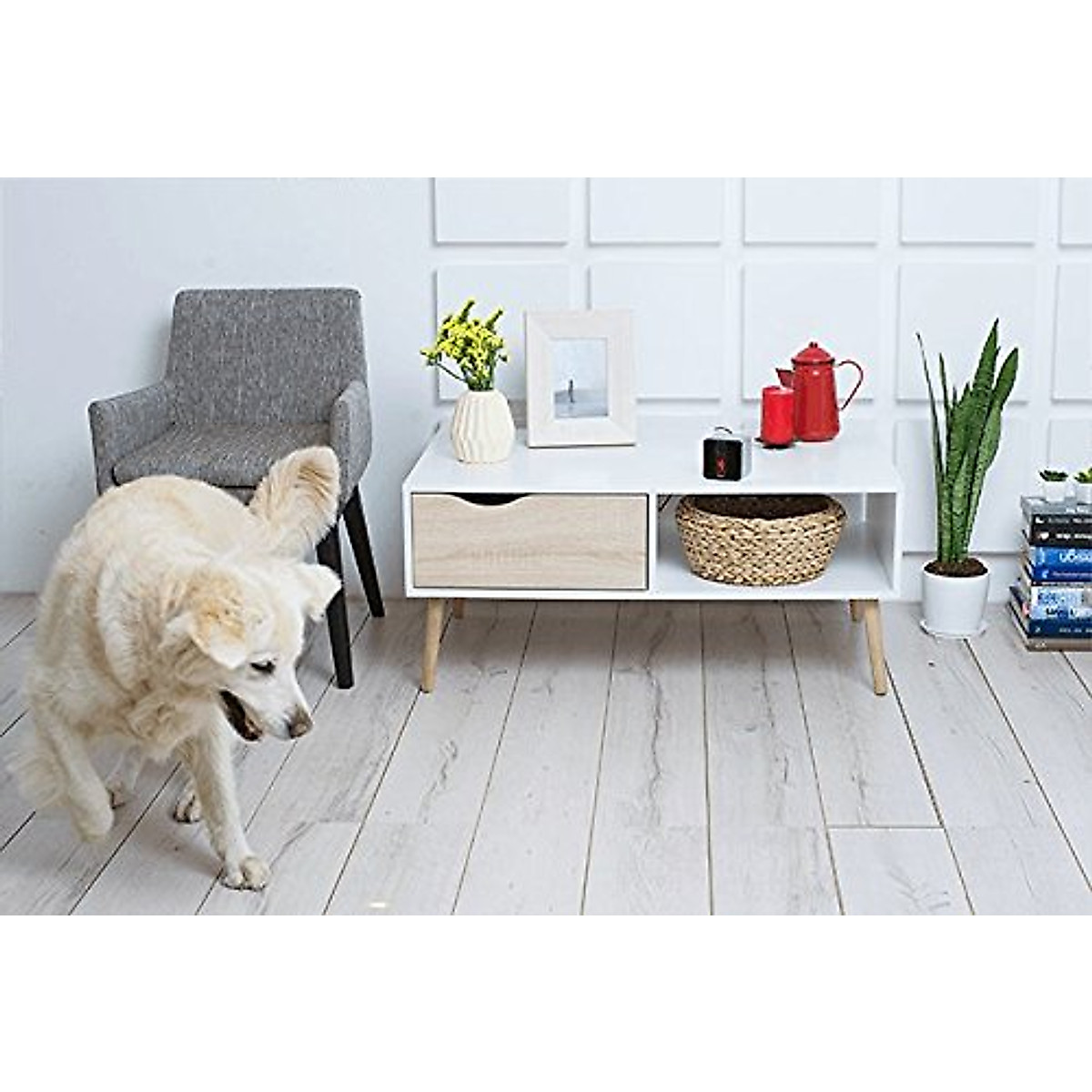 Petcube [2017 Item] Play Smart Pet Camera with Interactive Laser Toy. Remote Dog/Cat Monitoring with HD 1080p Video, Two-Way Audio, Night Vision, Sound/Motion Alerts. App-Enabled Pet and Home Safety
