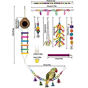 Parakeet Cockatiel Bird Swings Toys, Bird Perch Bird Cage Hammock Coconut Hideaway with Ladder Hanging Bell Swing Chewing Hanging Toy for Budgerigar, Conures, Love Birds, Finches, Budgie,Mynah