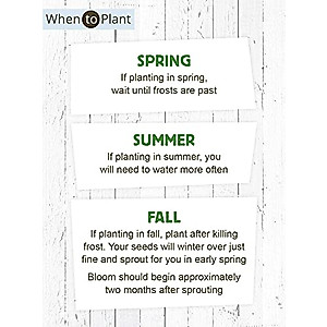 American Meadows Wildflower Seed Packets "Fairy Garden" Party Favors for Guests (Pack of 20) - Wildflower Seed Mix, Plant Year-Round, Great Gift for Hostesses, Showers, Weddings, Thank You