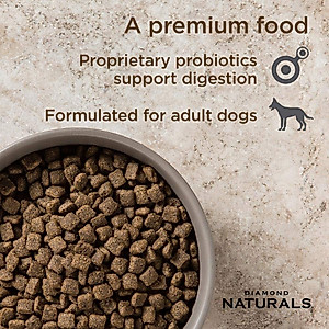 Diamond Naturals Adult Dry Dog Food Lamb Meal and Rice Formula Made with Lamb Protein, Probiotics and Essential Nutrients to Support Balanced and Overall Health 20LB