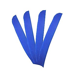 HNZMDY 50 Pcs Archery Arrow Fletching Spiral Wrap Full Length Arrow Feather 7~10" Right Wing and Left Wing for Flu Flu Arrows (Left wing, Blue)