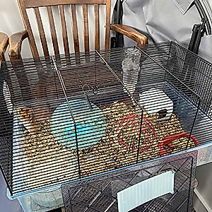 10 Pack Rabbit Cages Door Metal Finger Spring Latch Hook Multi-Functional Pet Cages Door Spring Latch for Fixing Small Animal, Rabbit, Dog, Cat, Parrot, Guinea Pig,Squirrel, Pet Cage Door