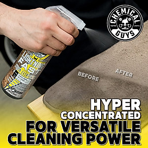 Chemical Guys SPI_191_16 Lightning Fast Carpet and Upholstery Stain Extractor, (For Cars, Trucks, SUVs, RVs, Home, Interior, Pets & More) 16 fl oz